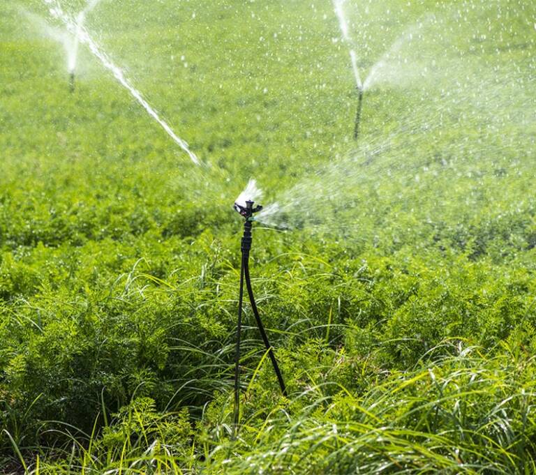 High-Tech Irrigation Systems and Farm Infrastructure