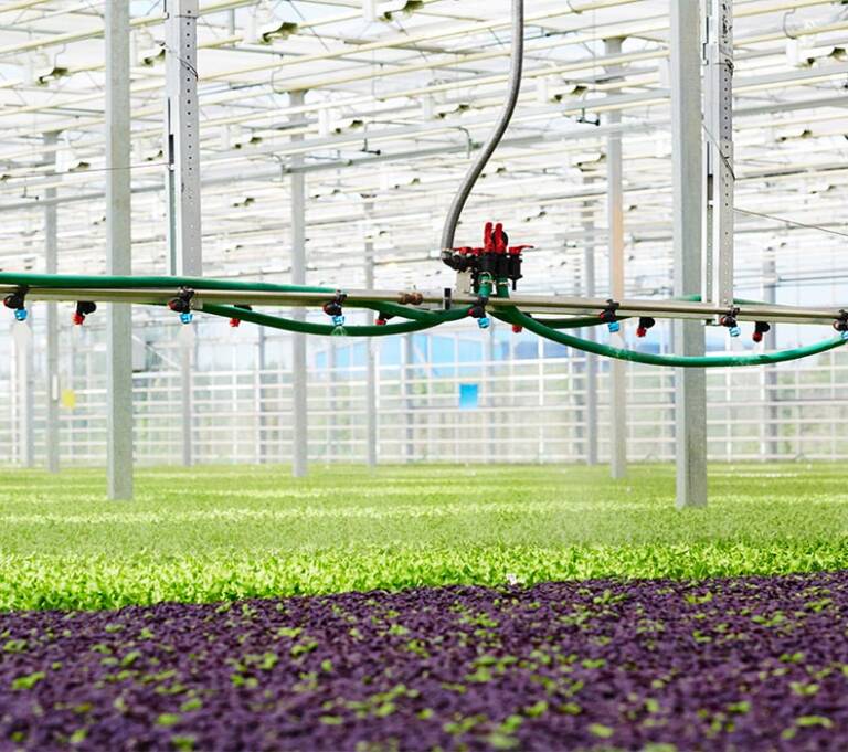 High-Tech Irrigation Systems and Farm Infrastructure
