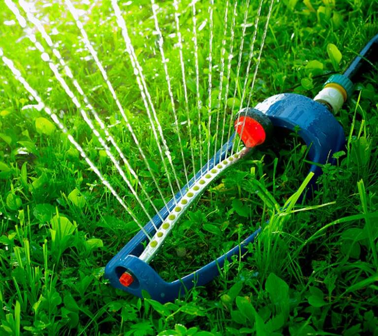 High-Tech Irrigation Systems and Farm Infrastructure
