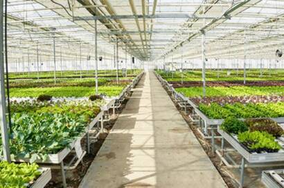 High-Tech Irrigation Systems and Farm Infrastructure