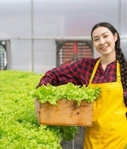 Services Archive - Elite Agro Projects