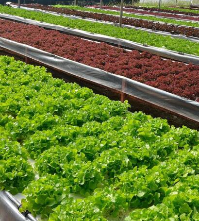 Elite Agro Projects Supplier Registration: Become a Supplier Today