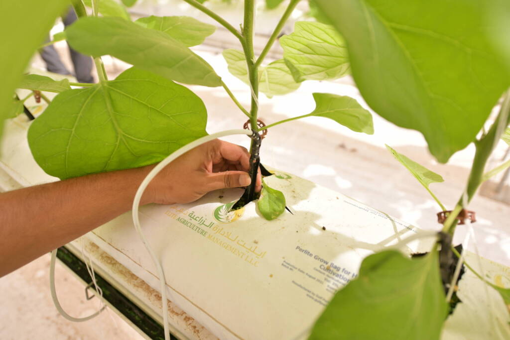 Elite Agro Projects: Smart Agriculture Solutions Provider