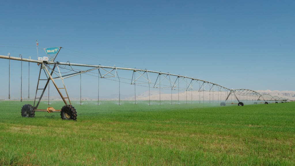 Innovative Agricultural Solutions for Sustainable Farming