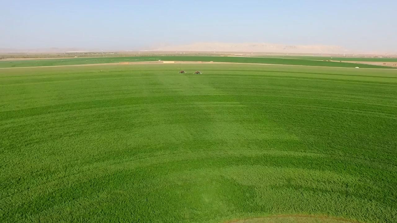 Elite Agro Projects: Specialized Agriculture EPC Contractor in GCC